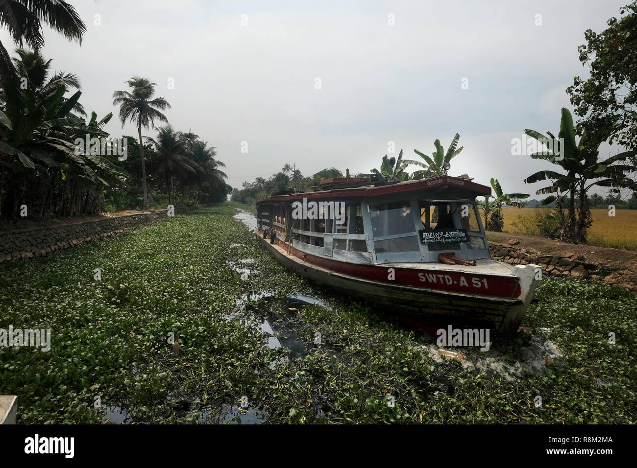 Kottayam india hi-res stock photography and images - Alamy