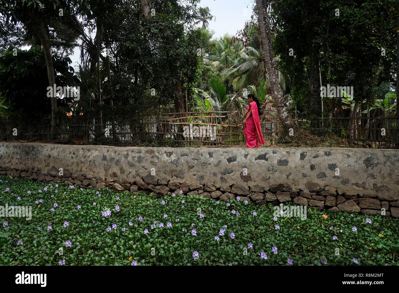 Kottayam hi-res stock photography and images - Alamy