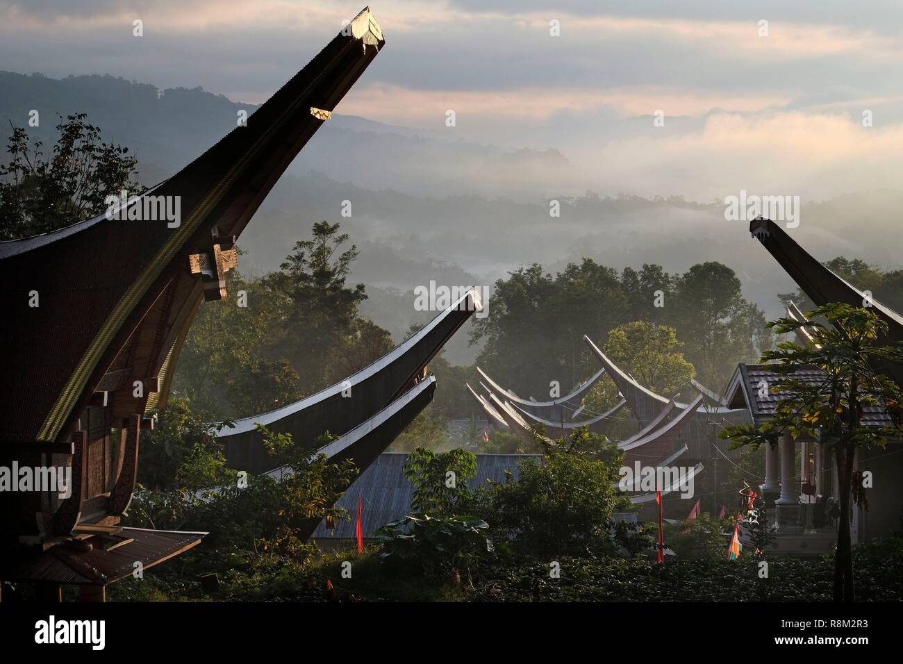 Torajan village hi-res stock photography and images - Alamy