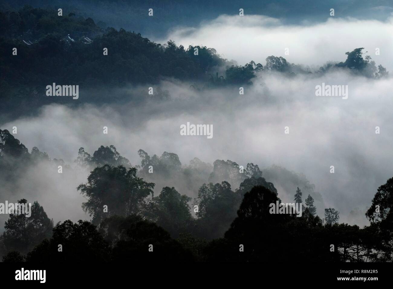 Toraja land hi-res stock photography and images - Alamy