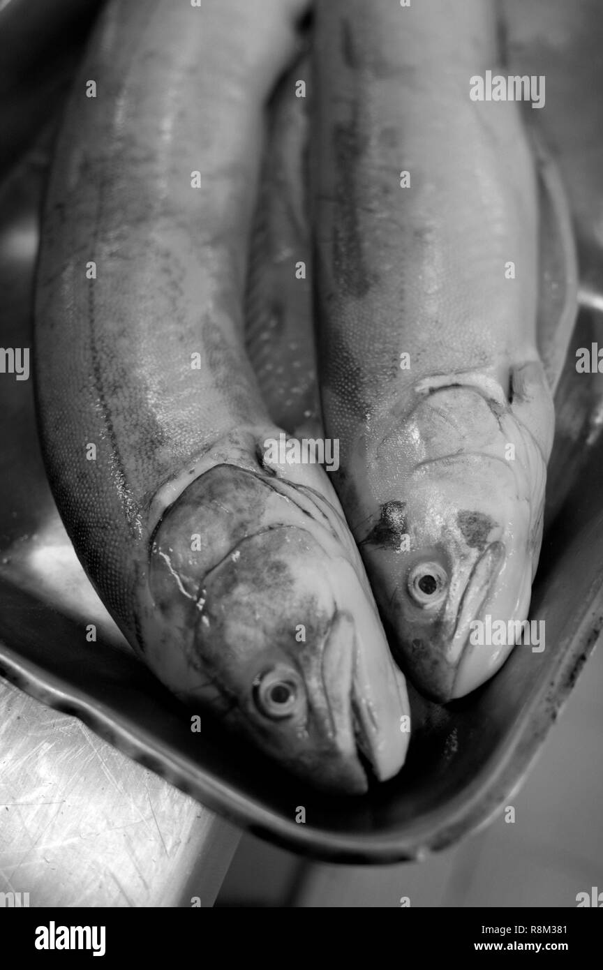 France, Paris, Maison Rostang restaurant by Michel Rostang Stock Photo ...
