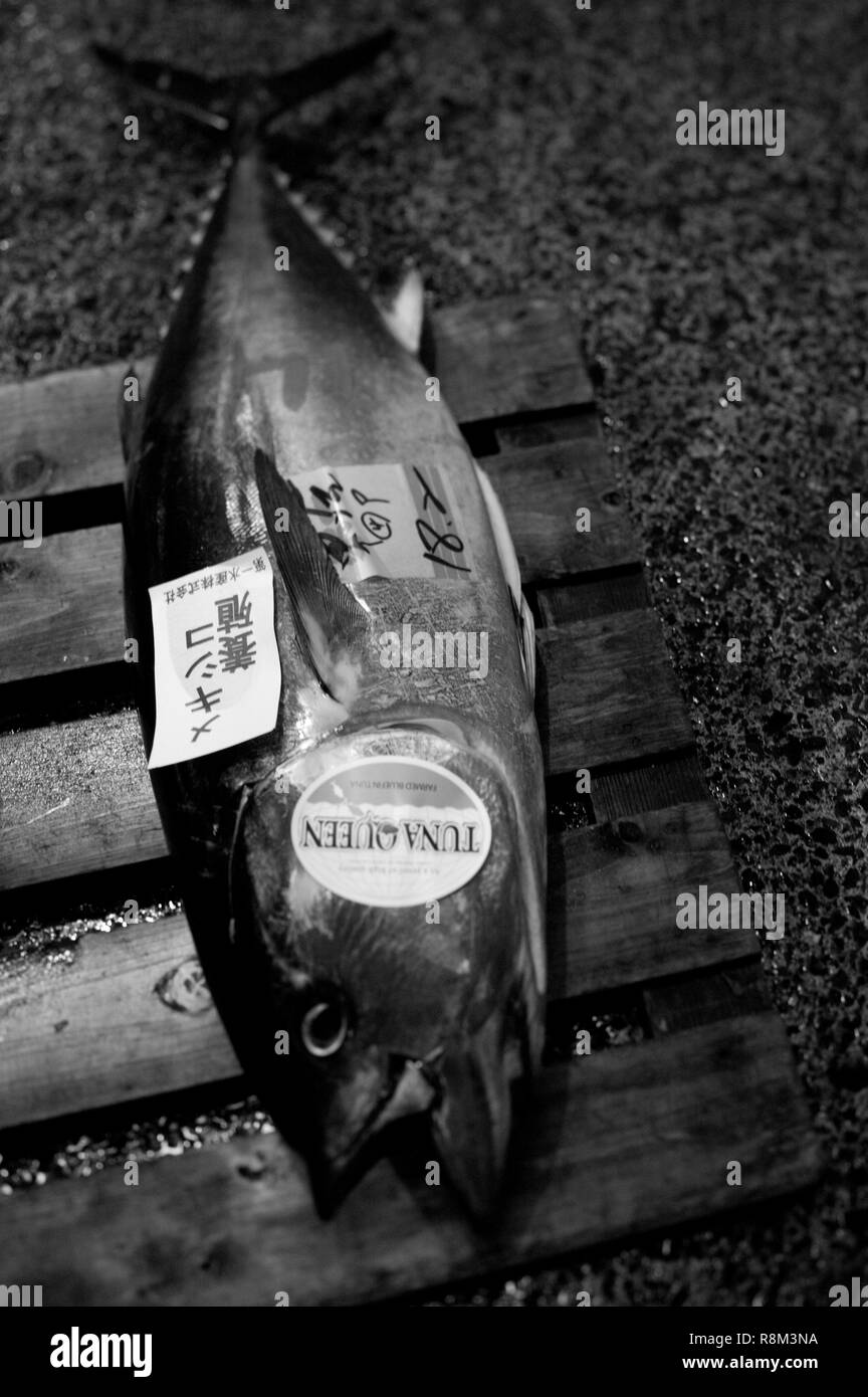 Tokyo japan fish market Black and White Stock Photos & Images - Alamy