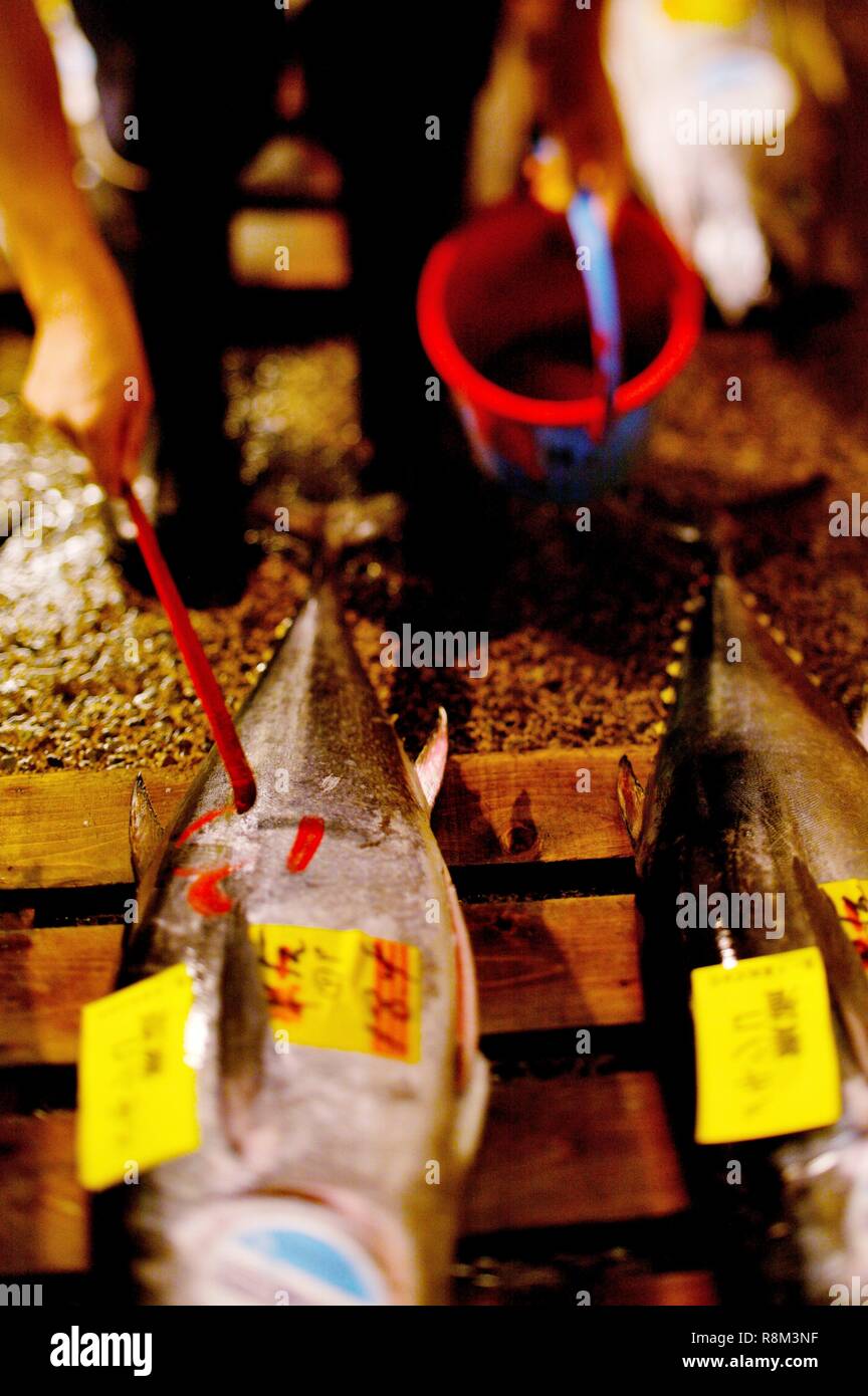 Tagging fish hi-res stock photography and images - Alamy