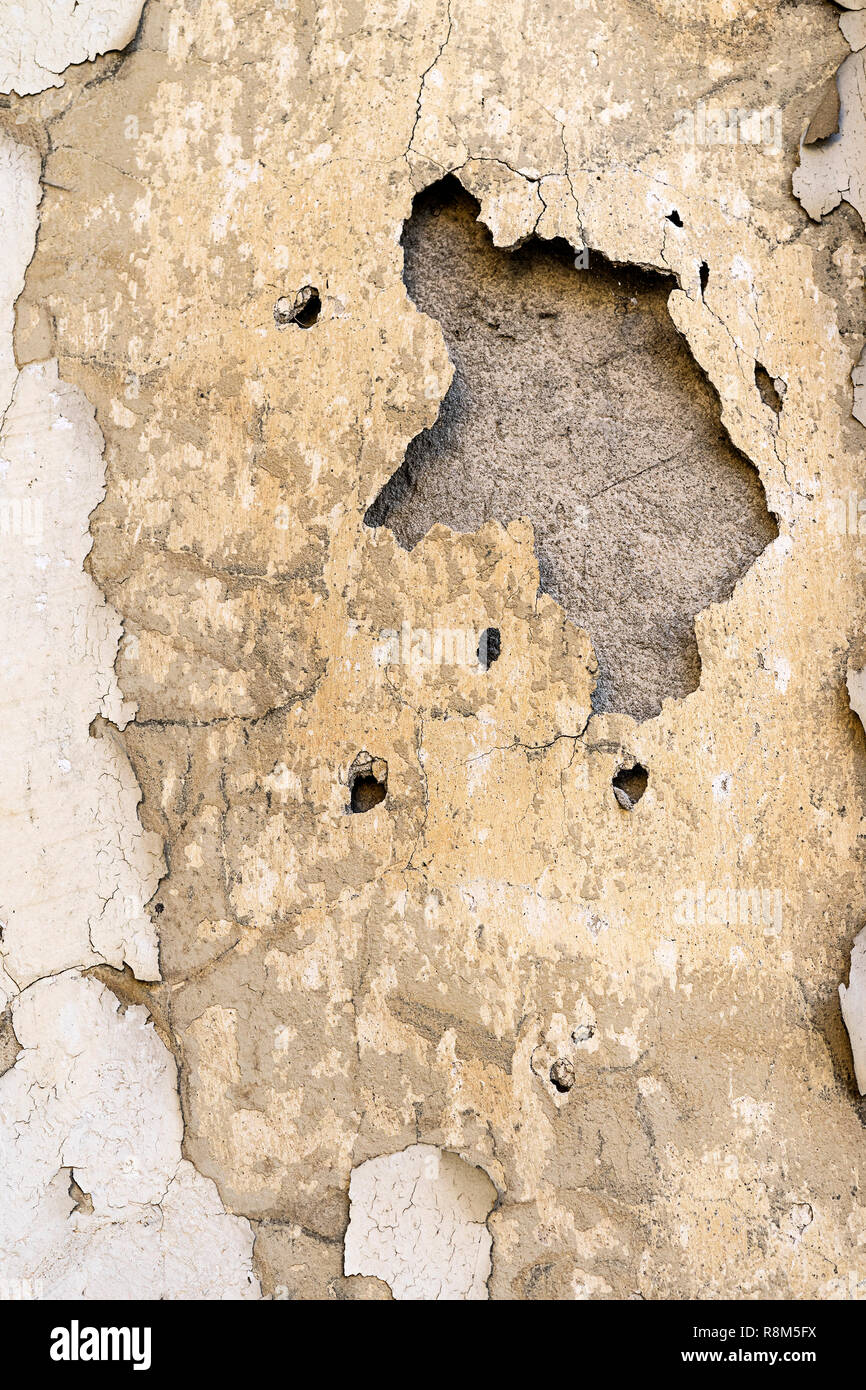 Decaying process hi-res stock photography and images - Alamy
