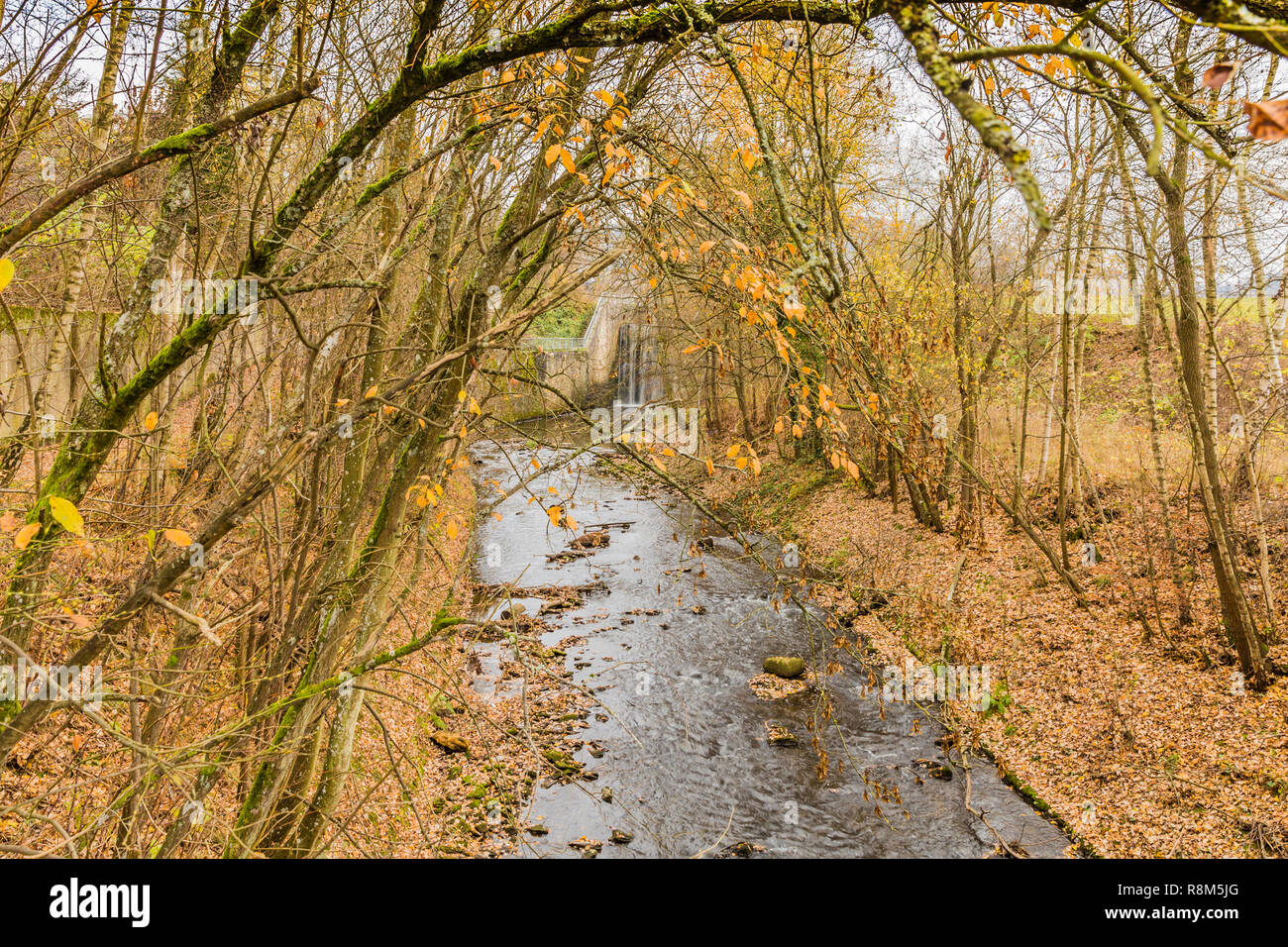 beautiful image of a quiet stream surrounded by trees with a dam in the ...