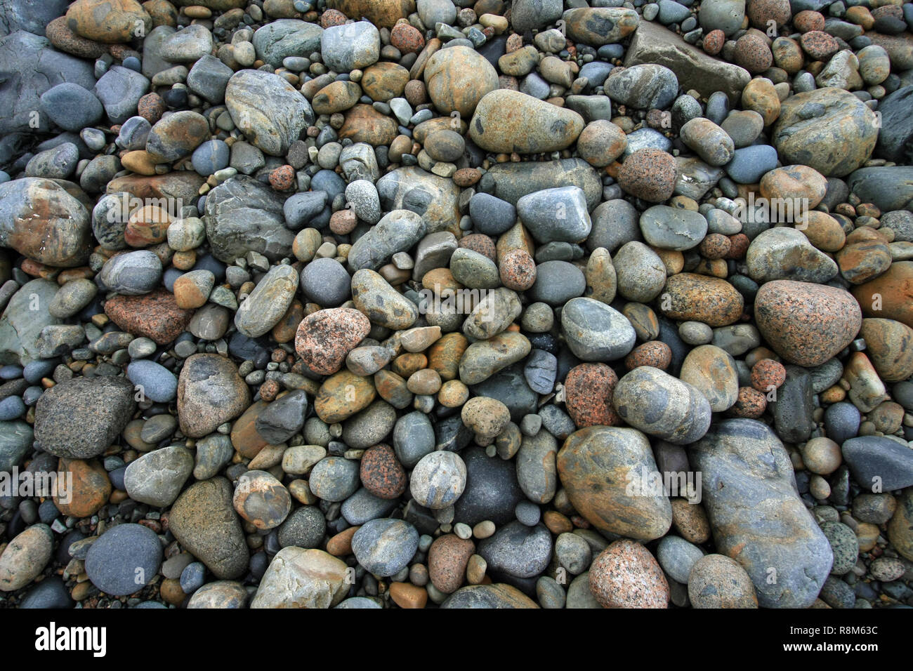 Colorful, smooth granite pebbles on beach in Acadia National Park ...