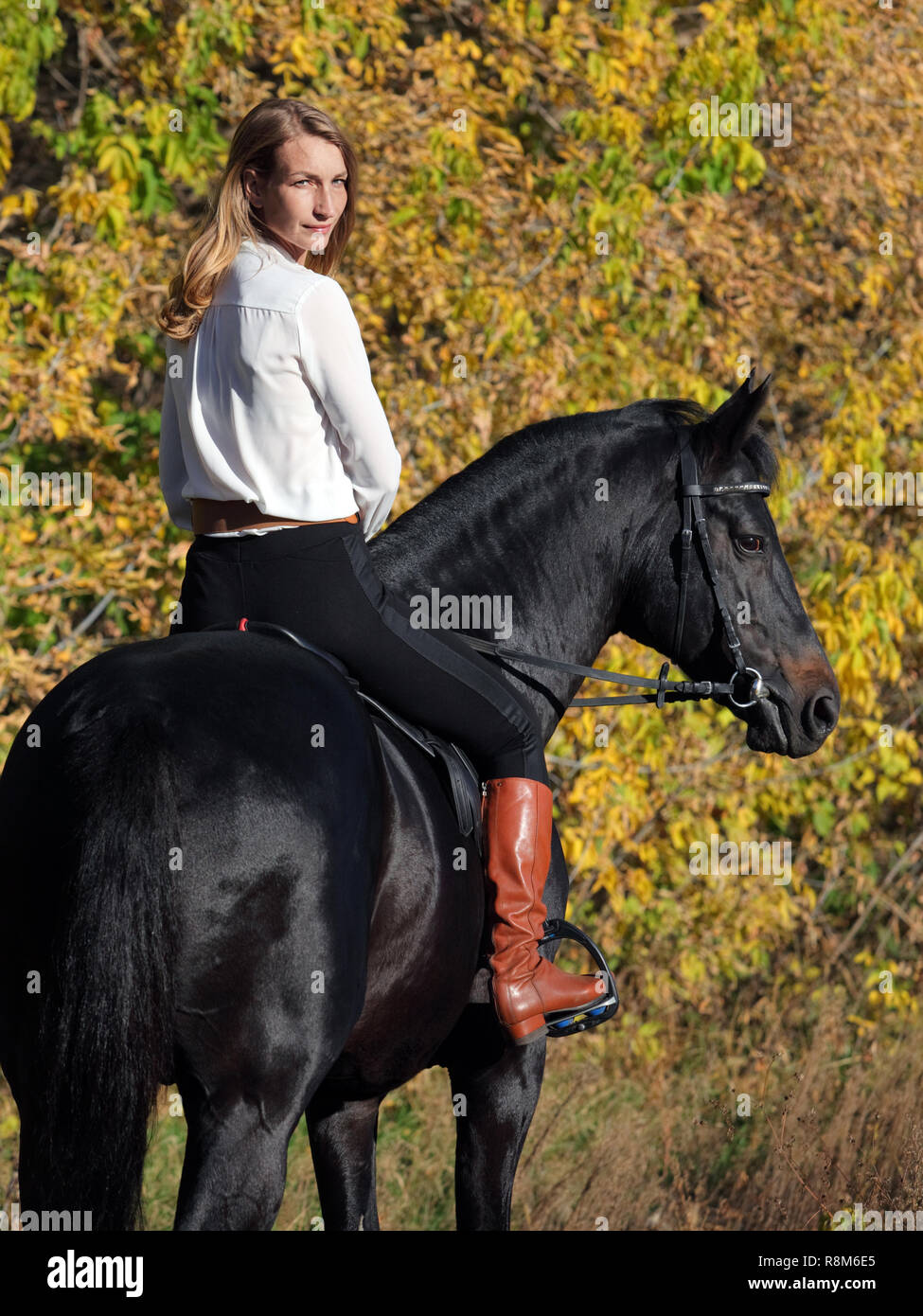 Horseback - woman riding a horse. Horse and equestrian model girl in ...