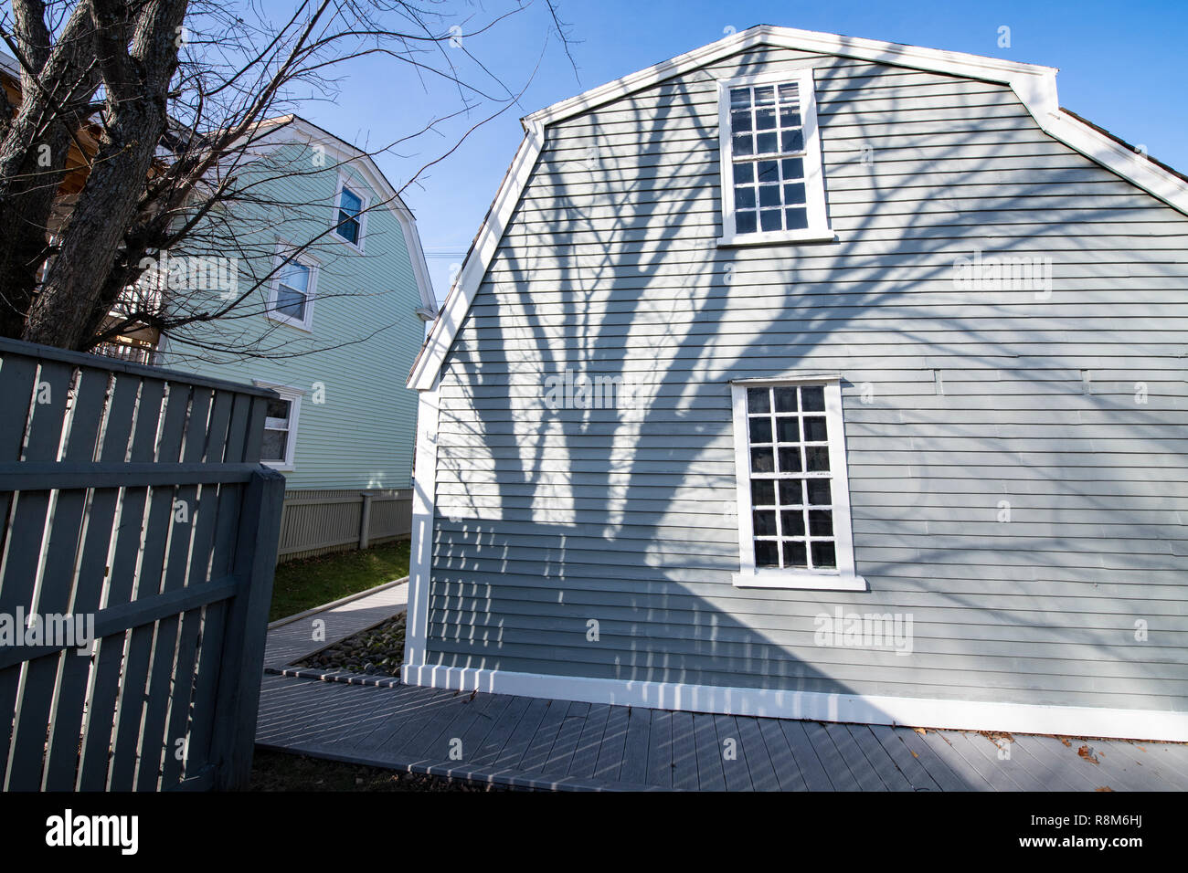 House with shadow of tree Stock Photo - Alamy