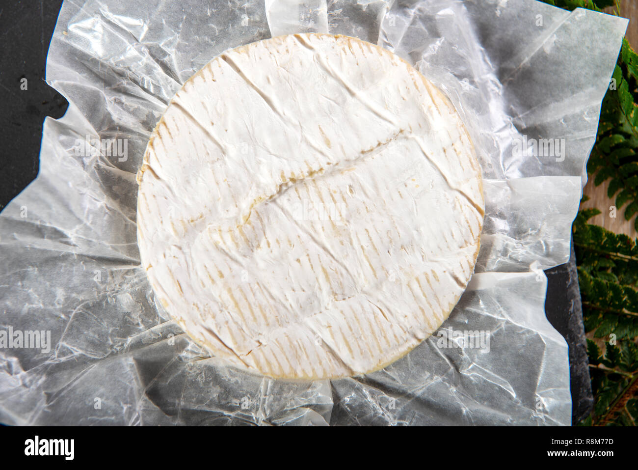 Camembert cheese traditional Normandy French, a dairy product Stock ...