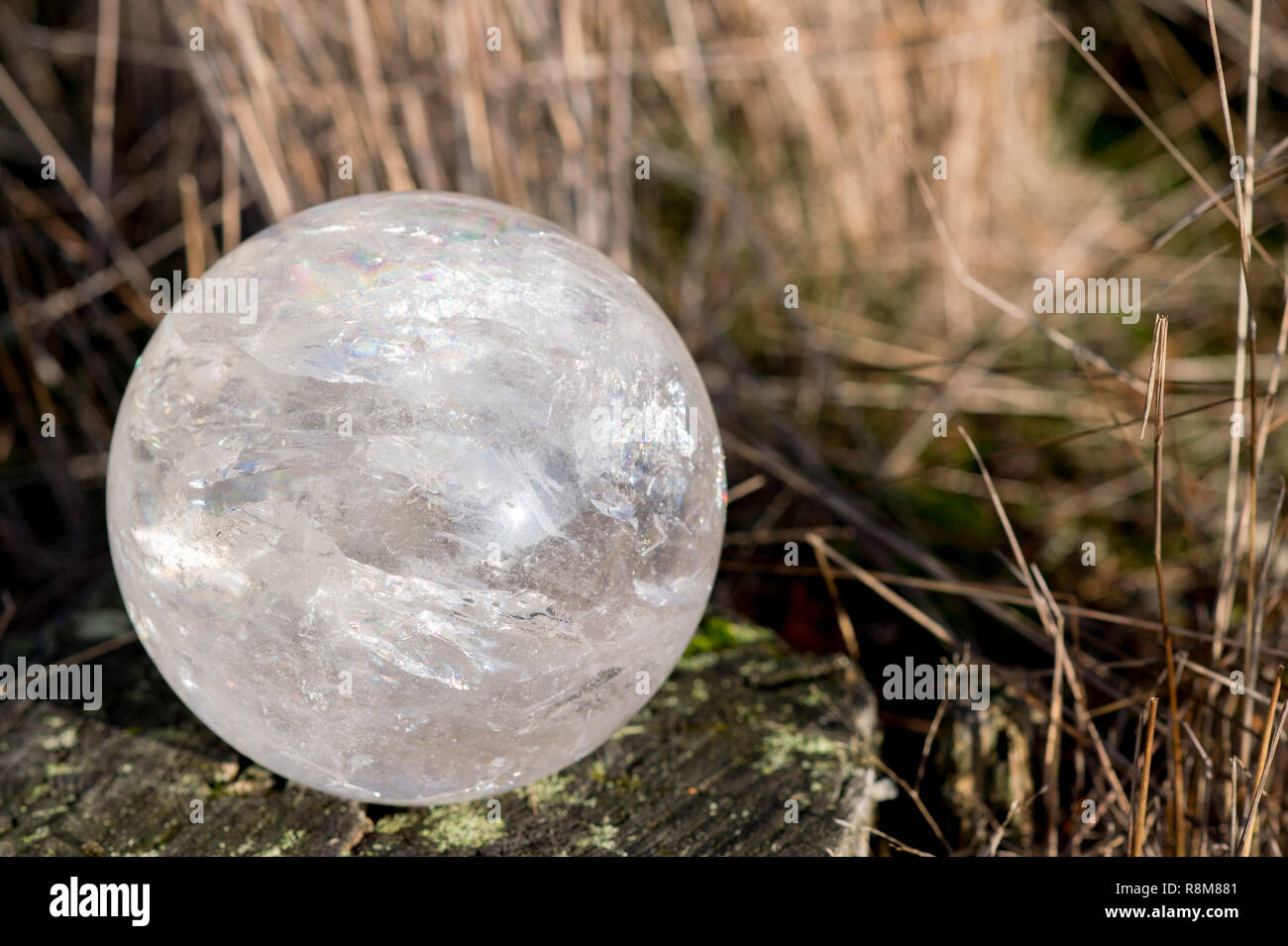 A white crystal quartz ball laying on an old tree in the forest in ...