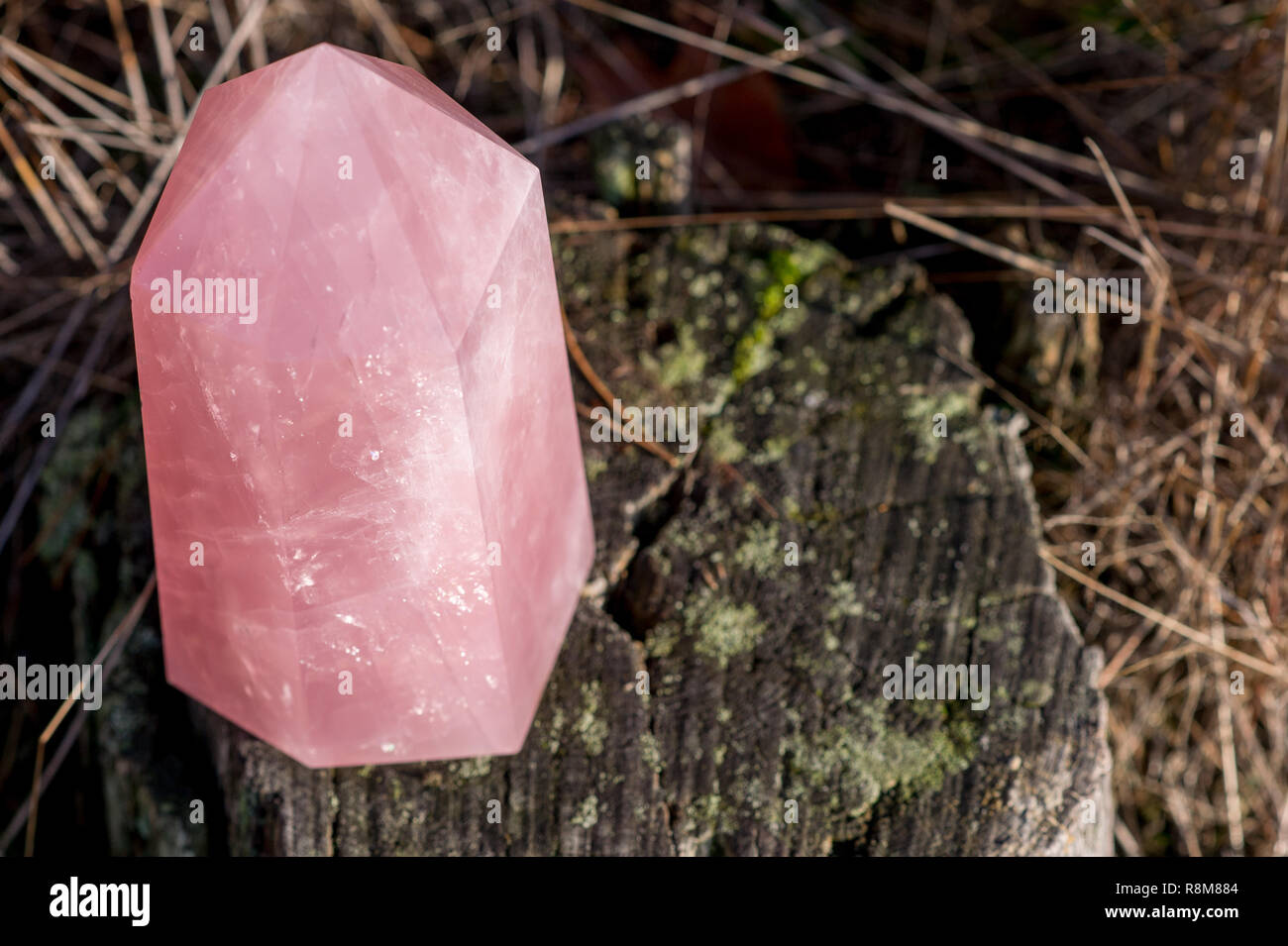 Rose quartz gemstone tree hi-res stock photography and images - Alamy