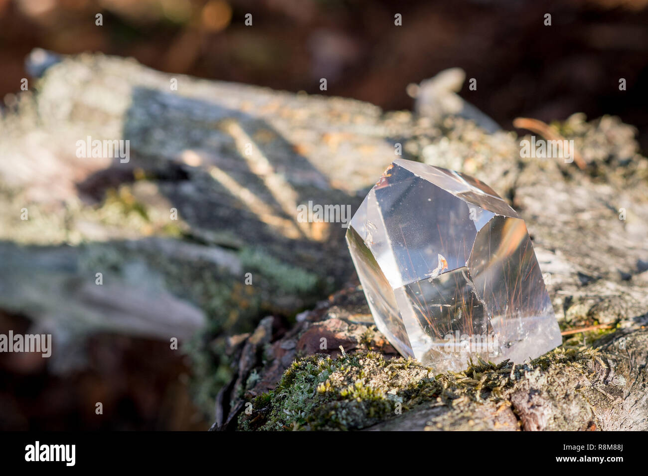 Transparent quartz in forest hi-res stock photography and images - Alamy