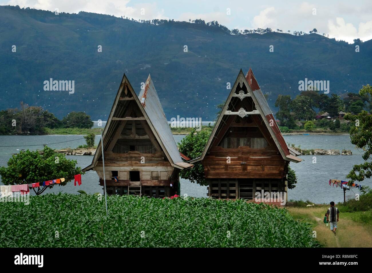 Batak village hi-res stock photography and images - Alamy