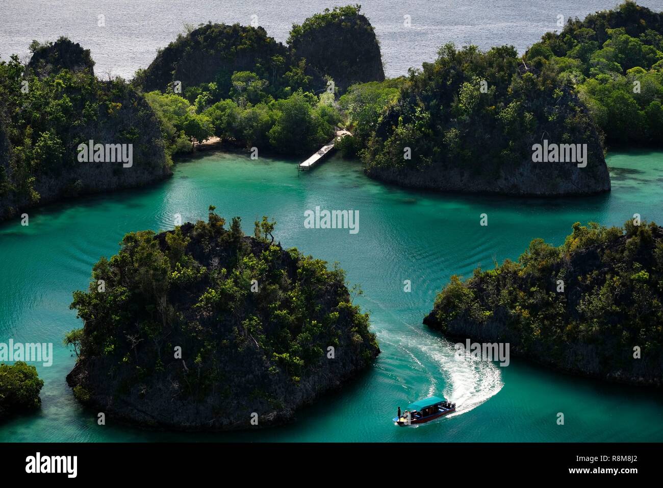 Papua province indonesia hi-res stock photography and images - Alamy