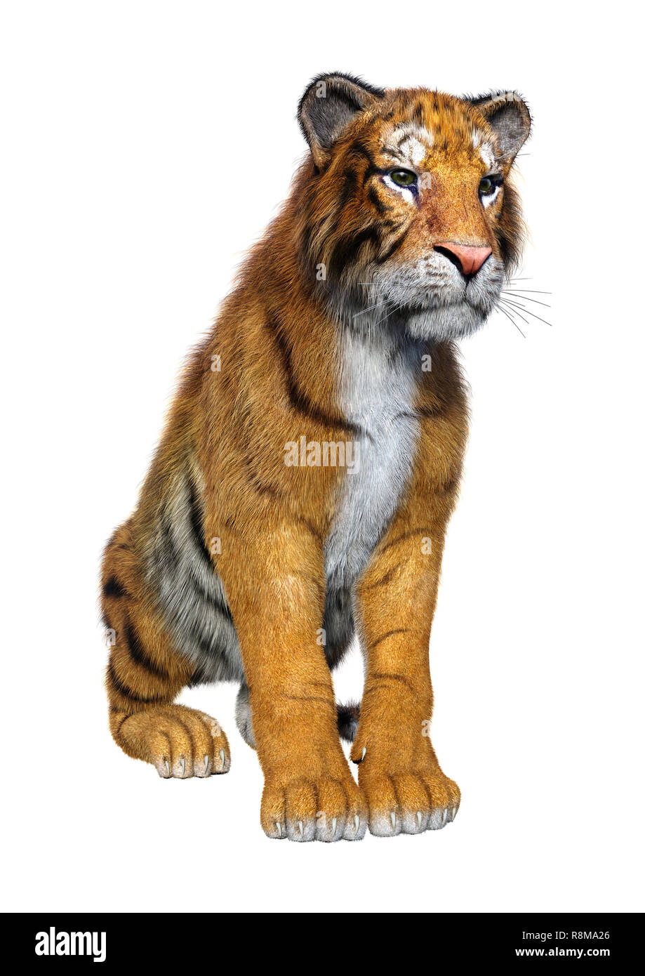 3D rendering of a big cat tiger isolated on white background Stock ...