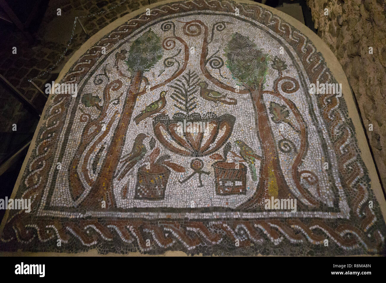 Legend of cyparissus hi-res stock photography and images - Alamy