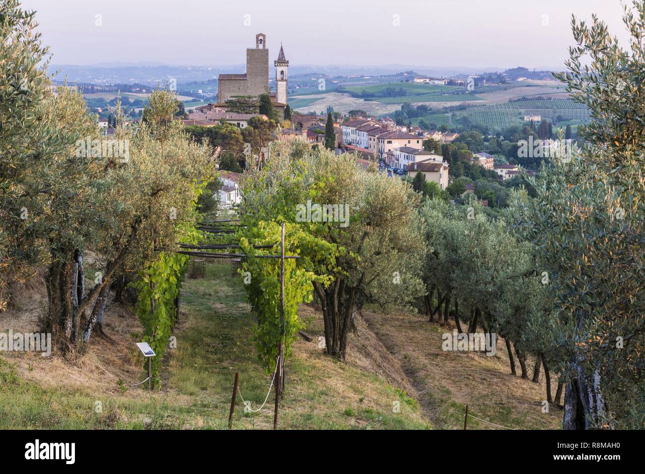 Italy, Tuscany, Lower Valdarno, Vinci, the native village of Leonardo ...
