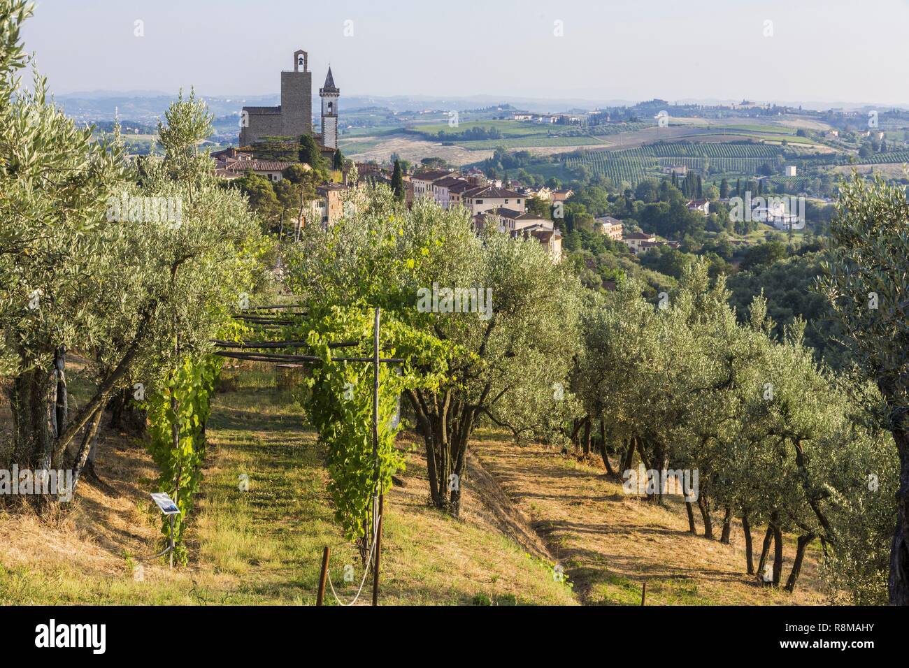 Italy, Tuscany, Lower Valdarno, Vinci, the native village of Leonardo ...