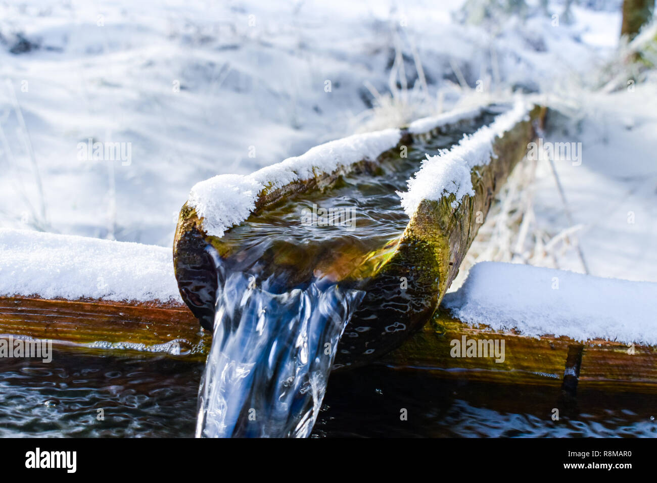 Pour water and grass closeup hi-res stock photography and images - Alamy