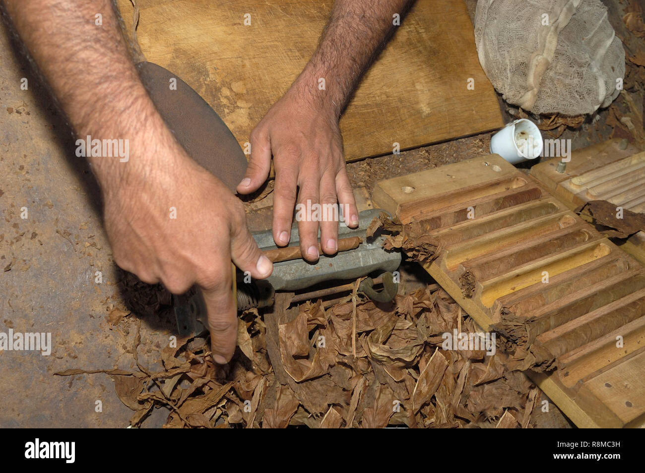 Cuban cigar roller hi-res stock photography and images - Alamy