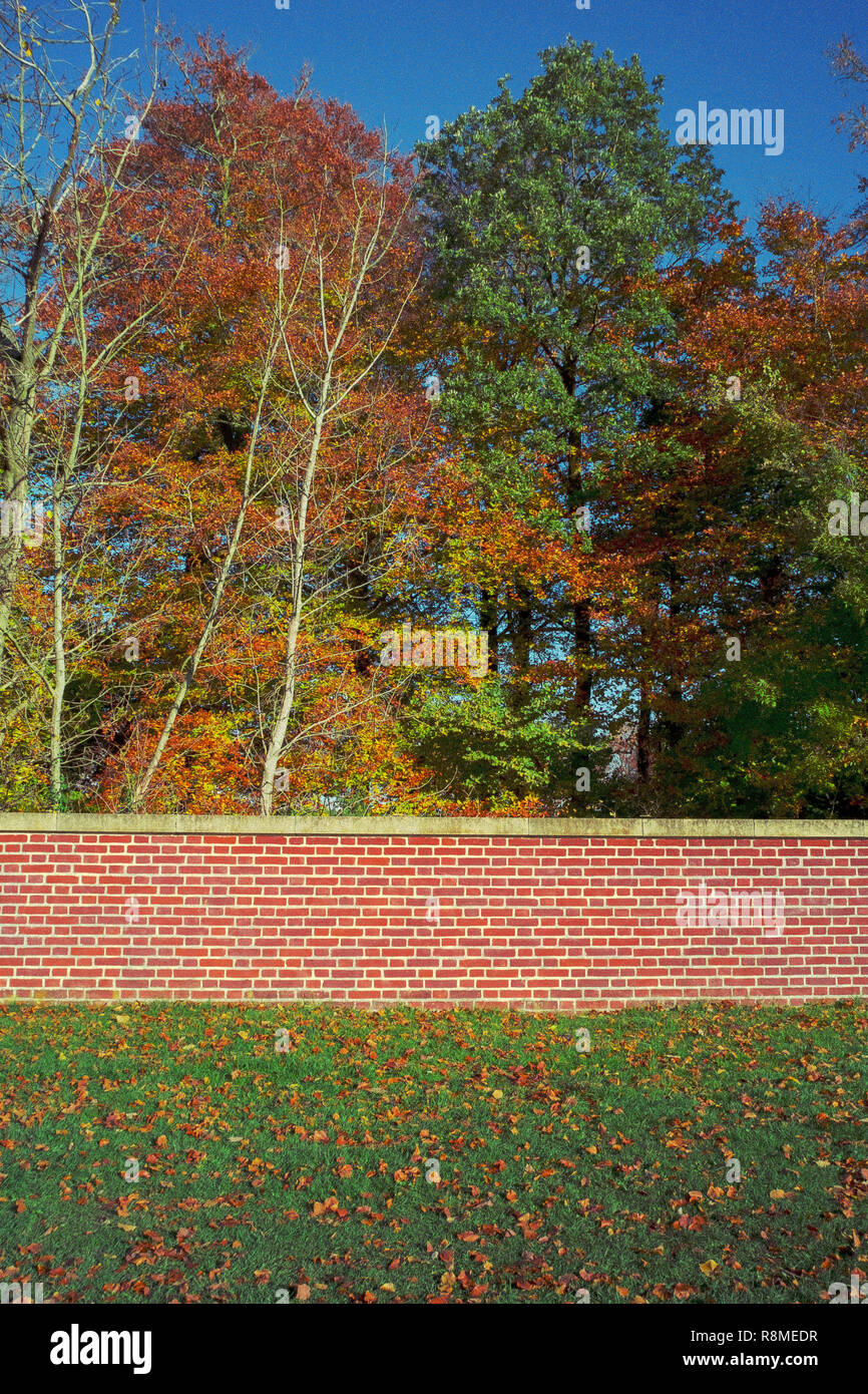 Green wallpaper campus hi-res stock photography and images - Alamy