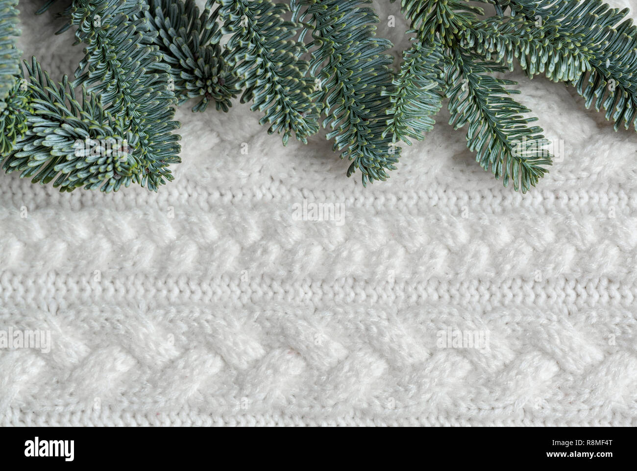 Spruce branches lie on a white knitted sweater Stock Photo - Alamy
