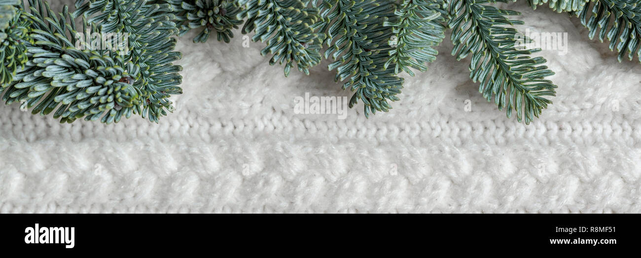 Spruce branches lie on a white knitted sweater Stock Photo - Alamy