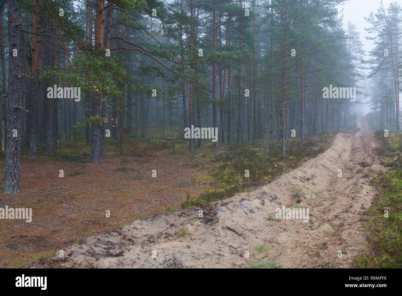 Fire ditch hi-res stock photography and images - Alamy