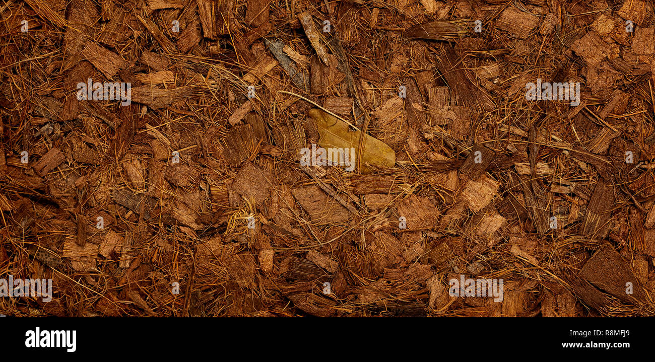 Compressed bale of ground coconut shell fibers (coir), surface ...