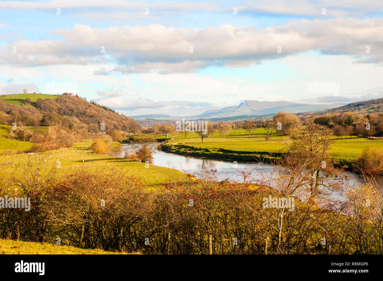 River Lune at the Crook of Lune Caton Lancaster Lancashire England UK ...