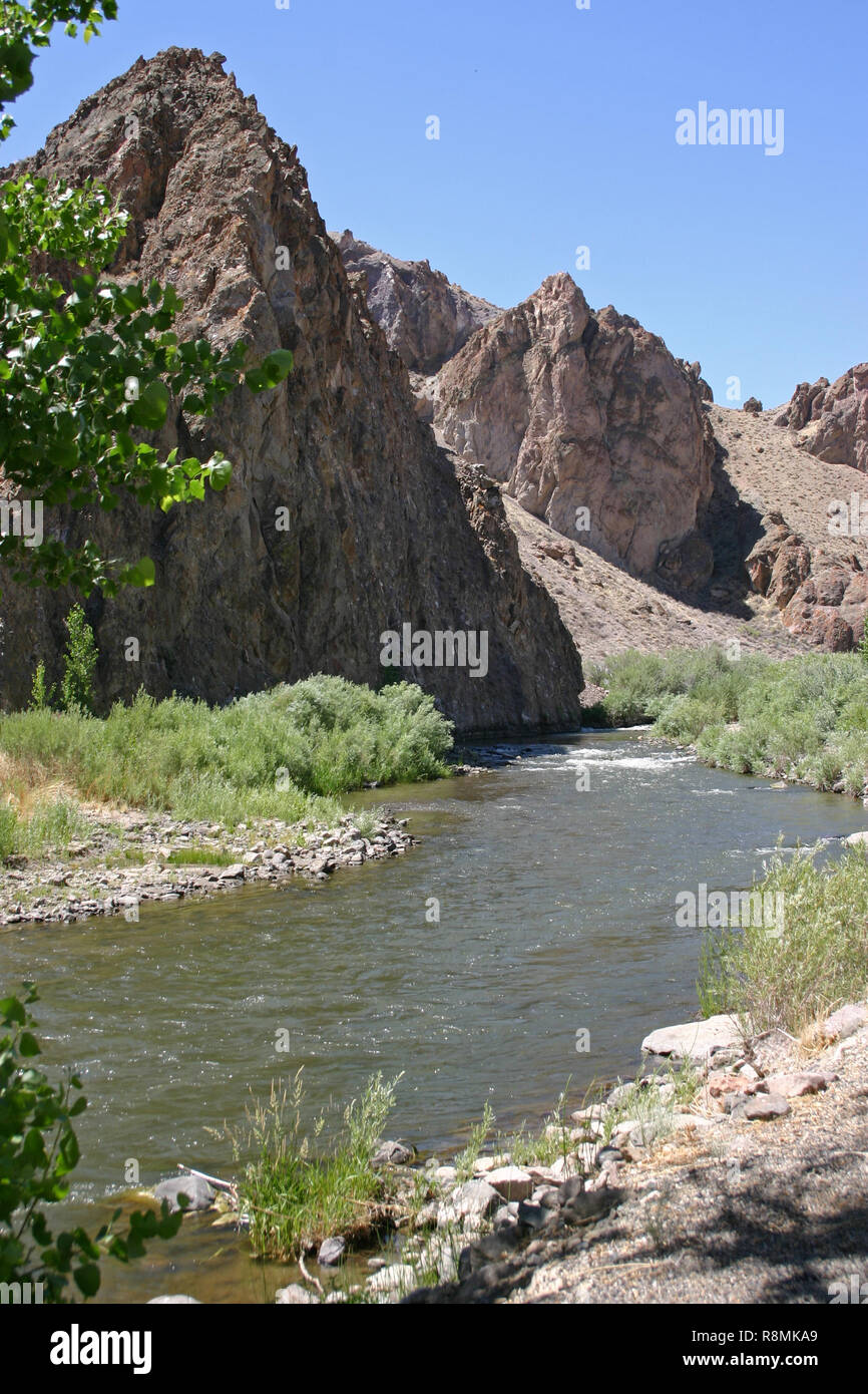 Thriving ecosystem hi-res stock photography and images - Alamy