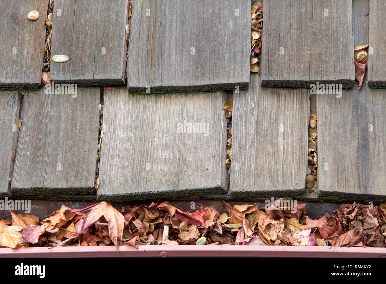 Gutters blocked hi-res stock photography and images - Alamy