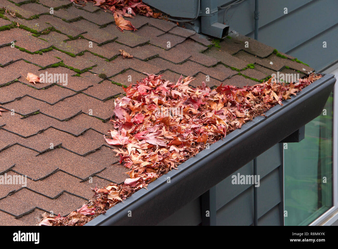Gutters hi-res stock photography and images - Alamy