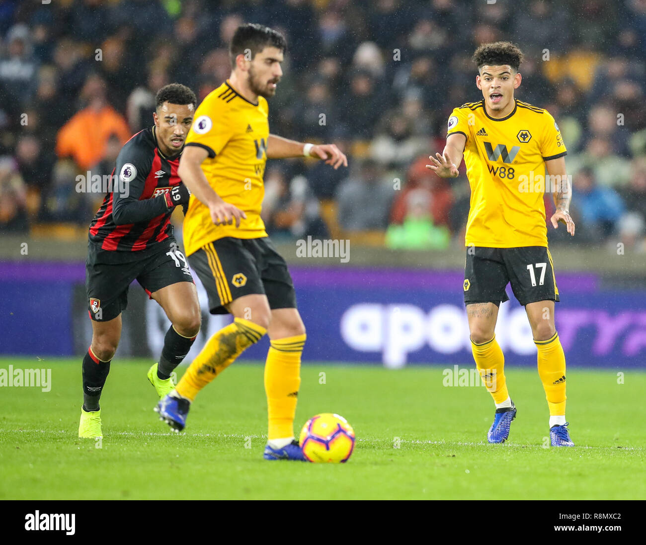 Morgan gibbs white wolves hi-res stock photography and images - Alamy