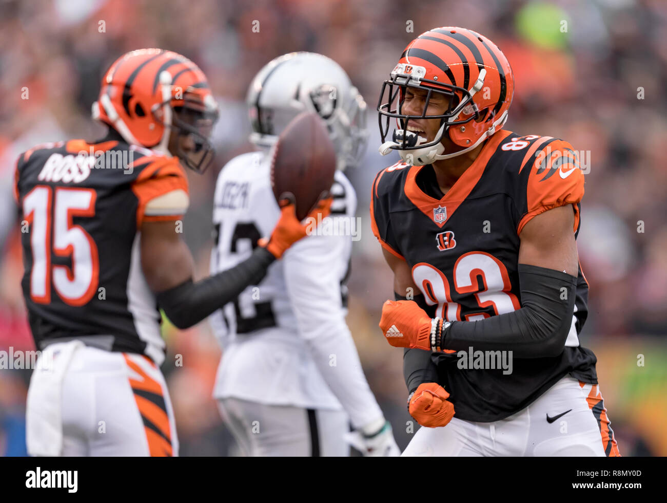 Cincinnati, OH, USA. 16th Dec, 2018. Cincinnati Bengals wide receiver ...