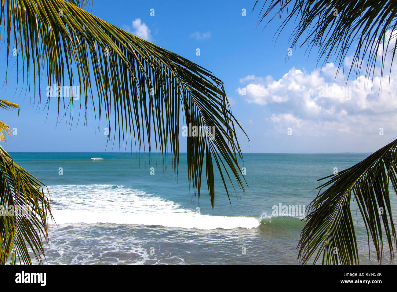 indonesia bali, kuta beach palm trees ocean view Stock Photo - Alamy