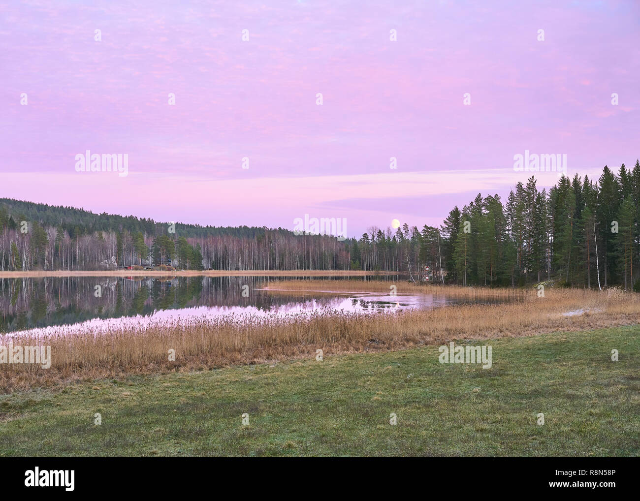 Purple Dusk in the countryside Stock Photo - Alamy