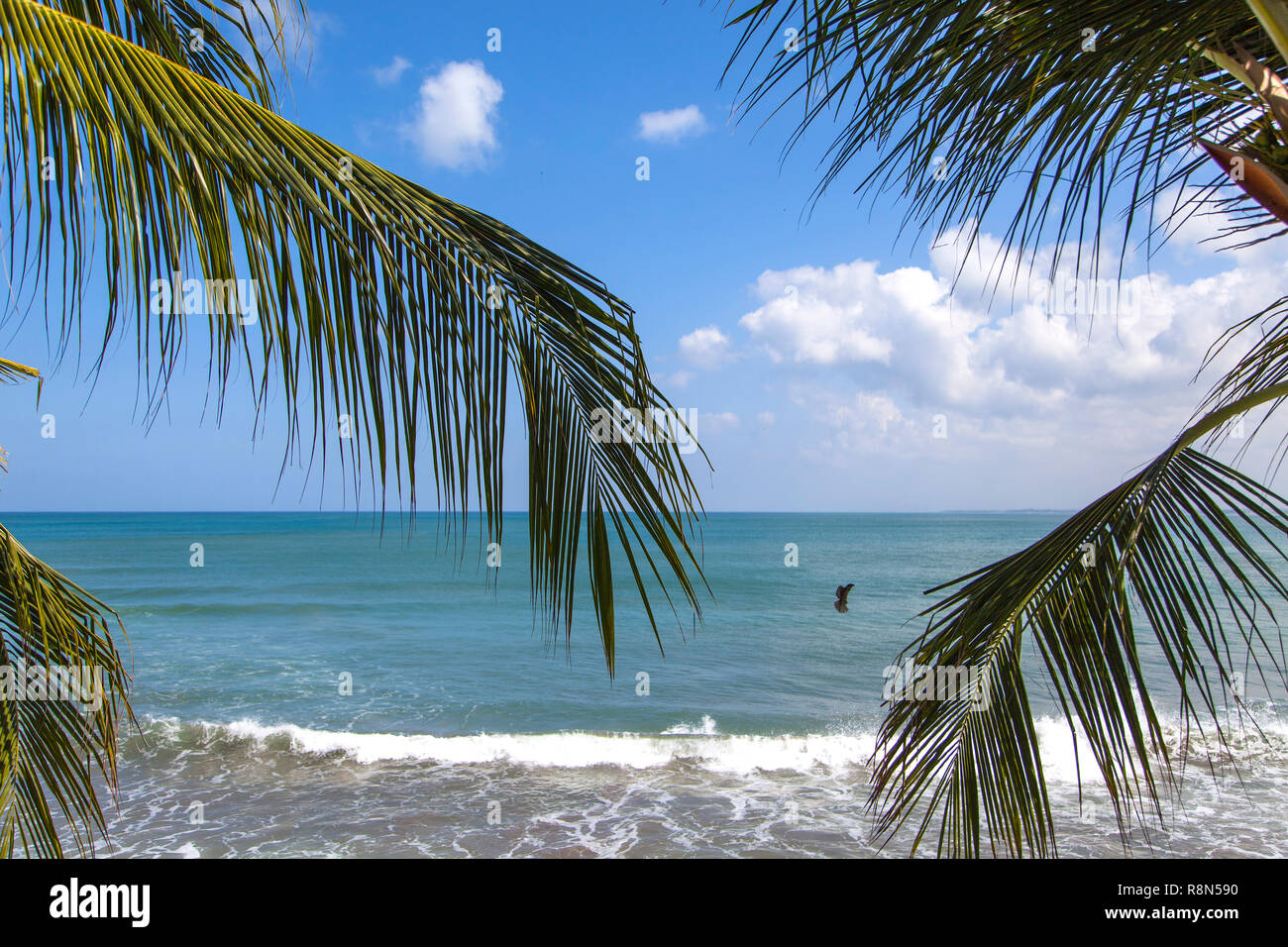 indonesia bali, kuta beach palm trees ocean view Stock Photo - Alamy
