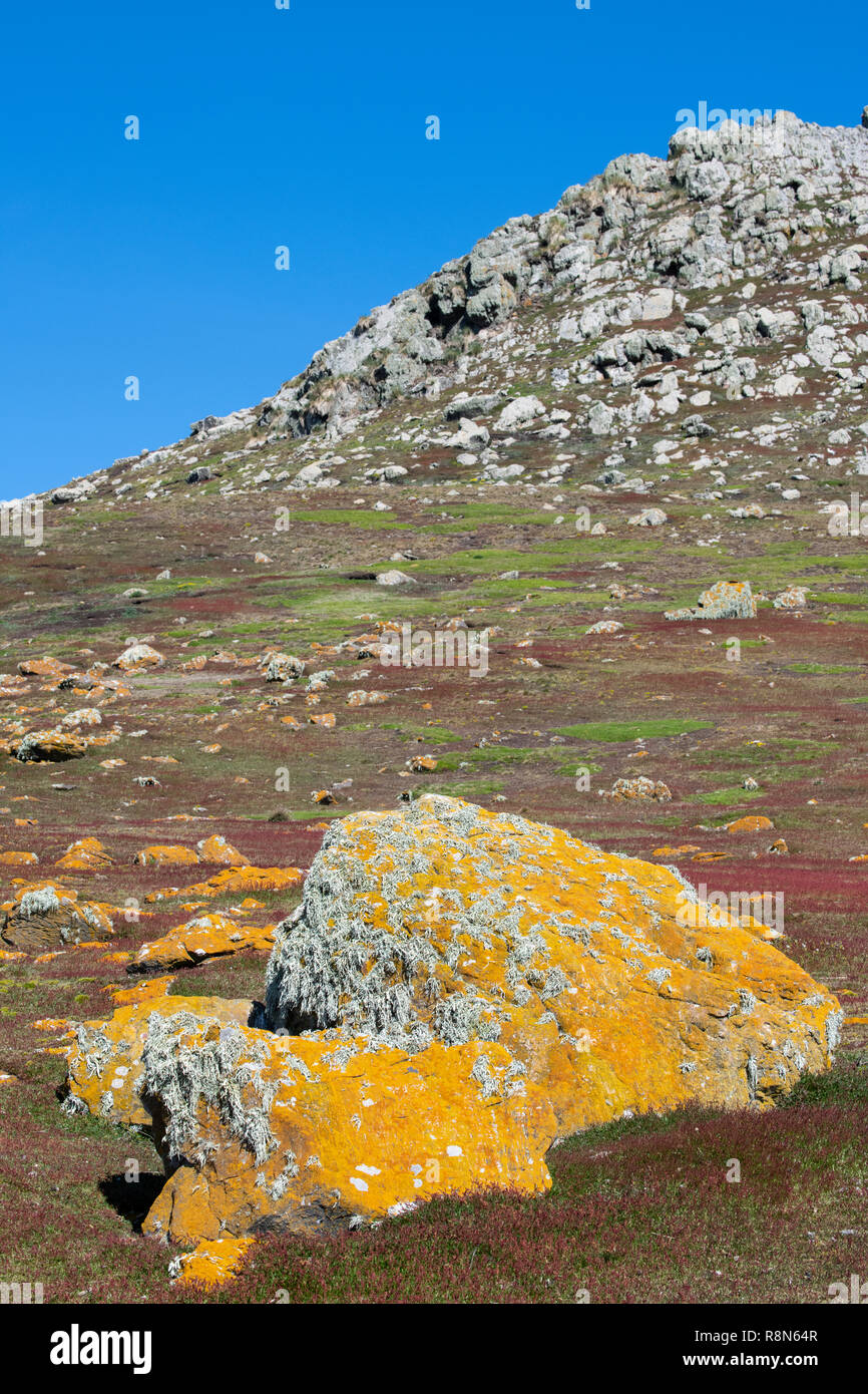 Islas salvajes hi-res stock photography and images - Alamy