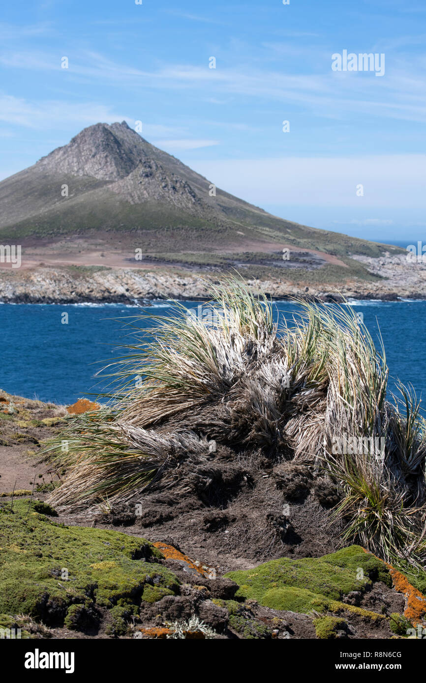 United Kingdom, Falkland Islands, West Falklands, Jason Islands ...