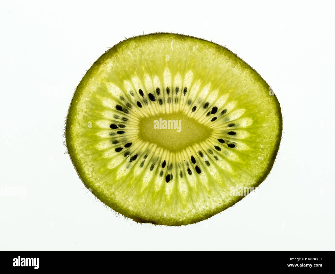 Thin slice of kiwi fruit, back-lit on white background Stock Photo - Alamy