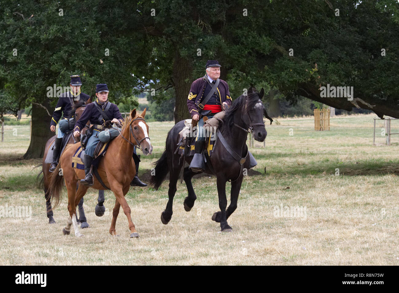 American civil war cavalry horses hi-res stock photography and images ...