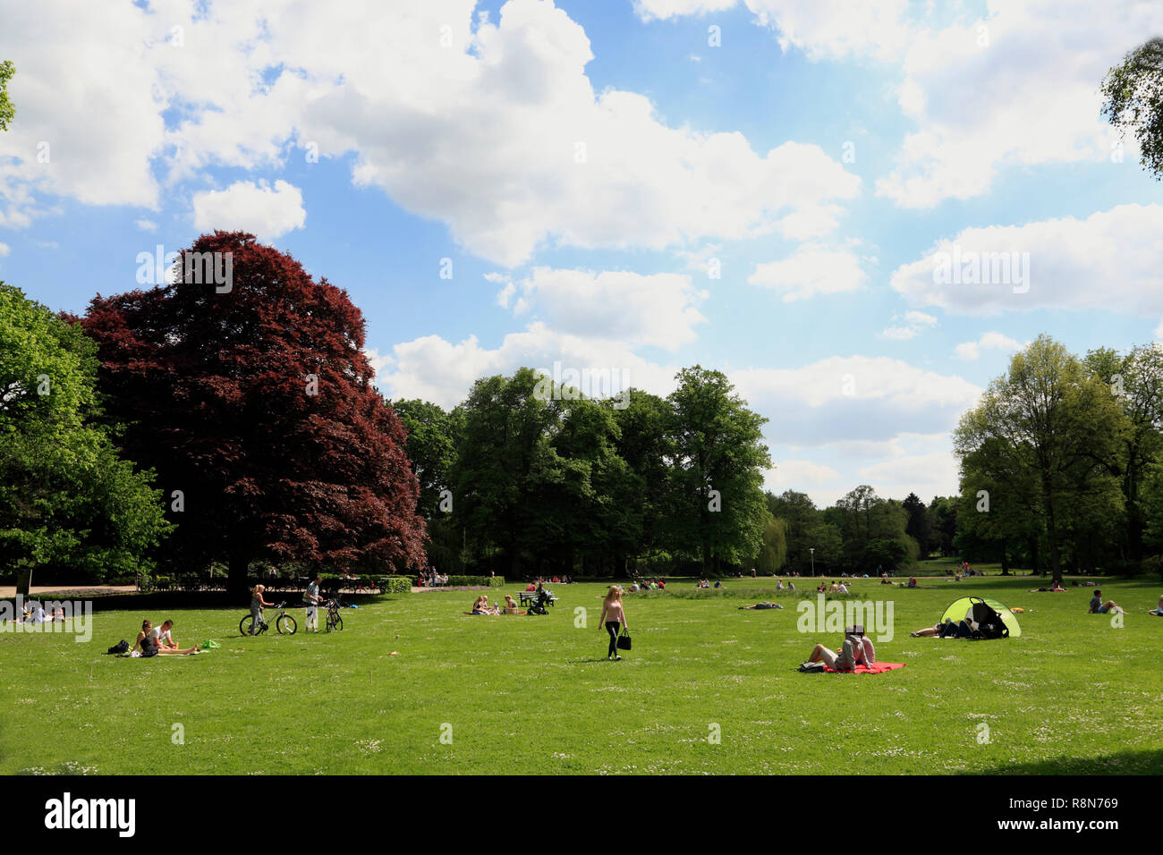 Spa gardens (Liegewiese im Kurpark), Lueneburg, Lüneburg, Lower Saxony ...
