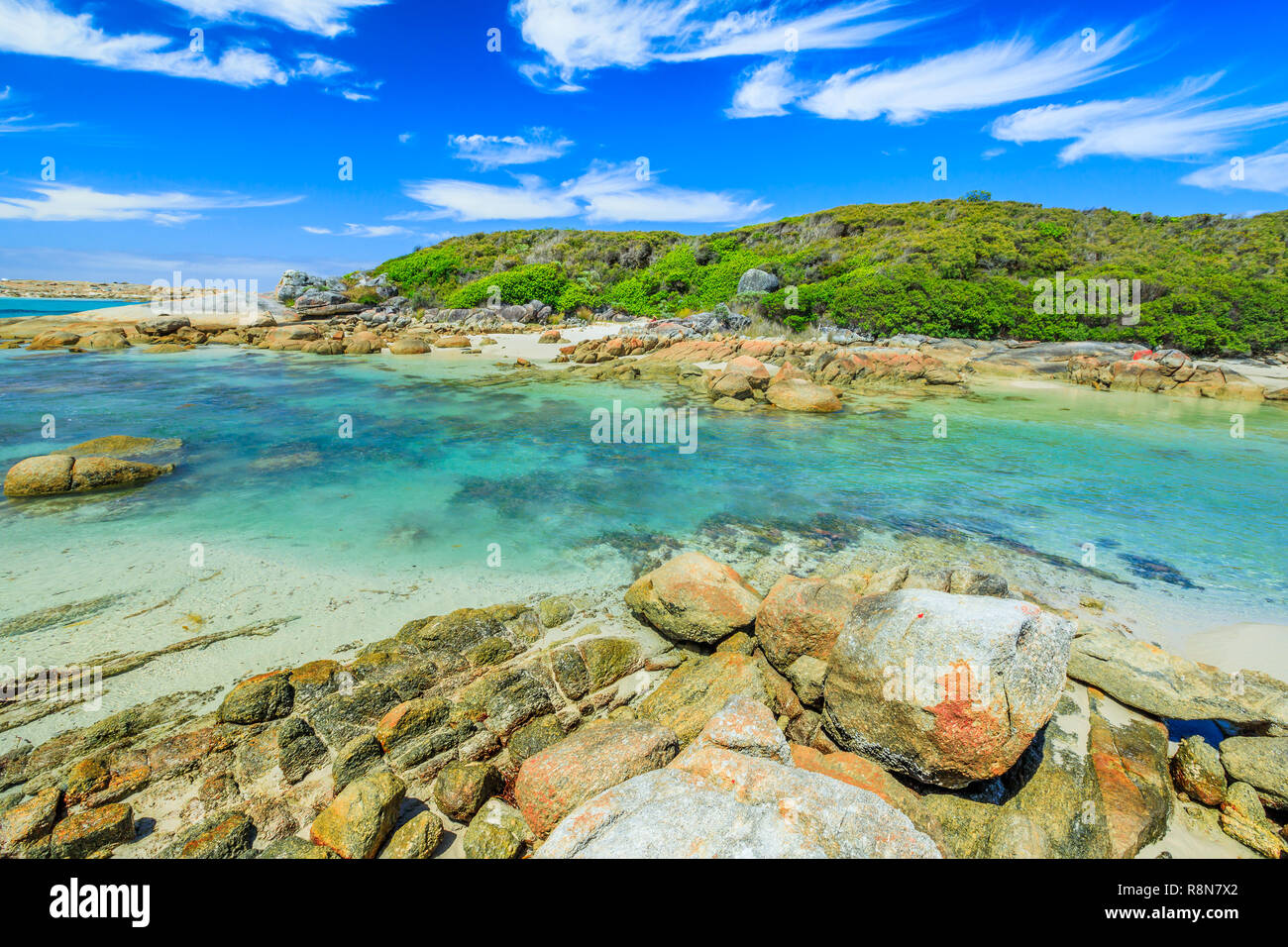 Madfish island hi-res stock photography and images - Alamy