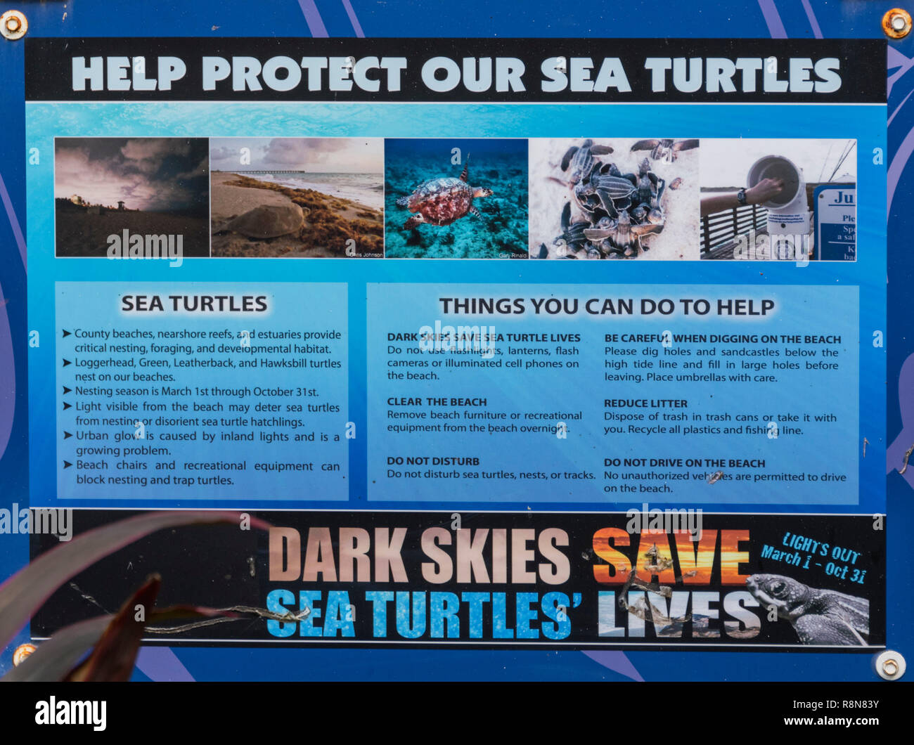 Wooden sign Help Protect our Sea Turtles, Fort Lauderdale Florida USA ...