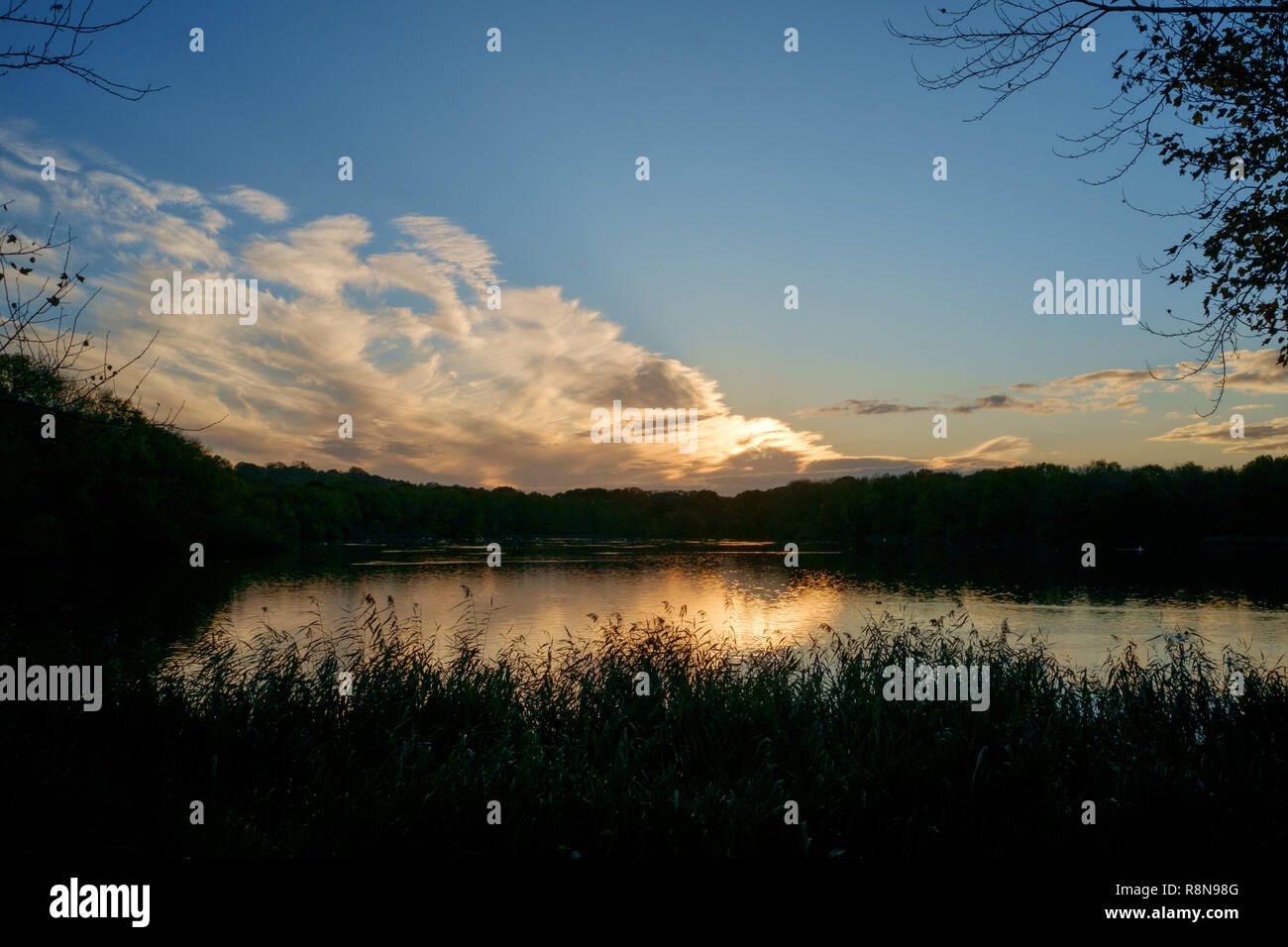 Coate water country park hi-res stock photography and images - Alamy