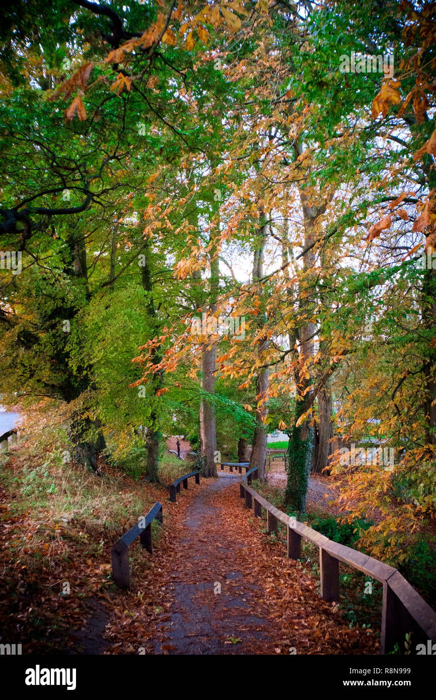 Coate Water Country Park in Swindon Stock Photo - Alamy