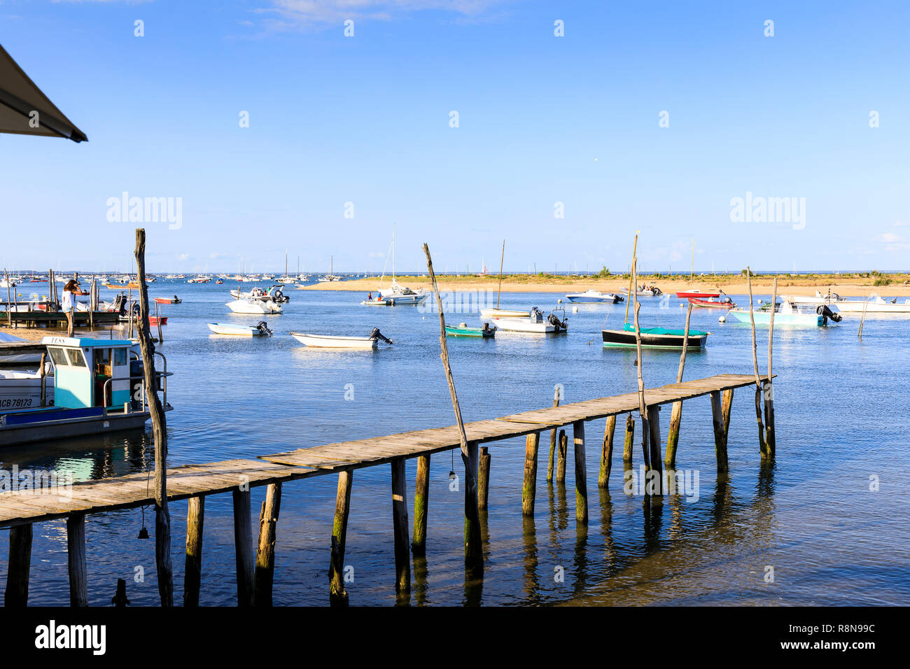 Cap ferret hi-res stock photography and images - Alamy