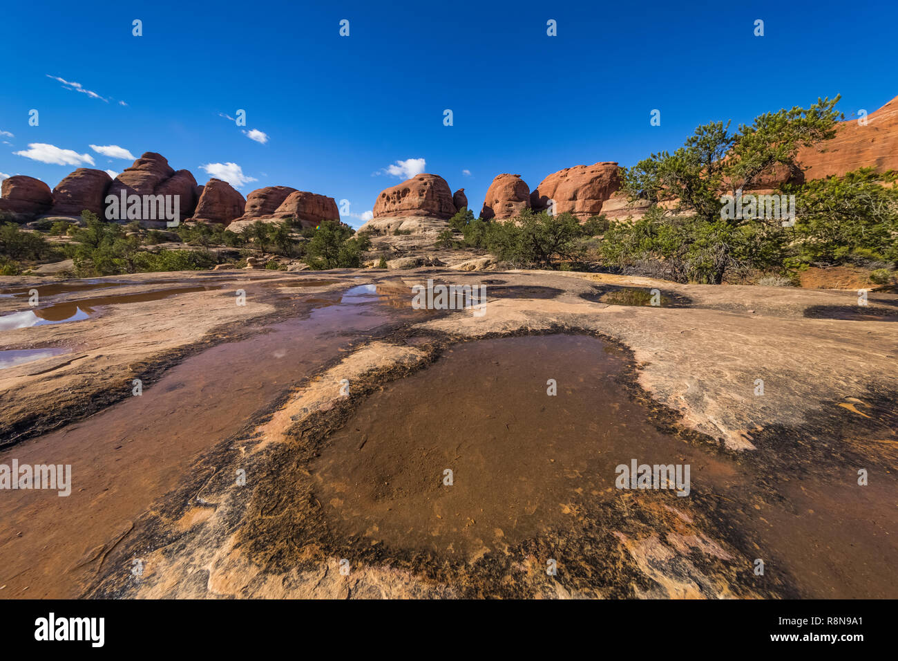 Ephemeral pool hi-res stock photography and images - Alamy