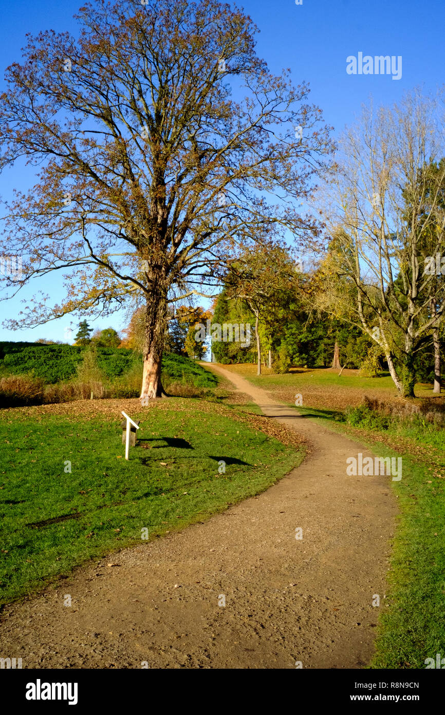 Pathway in Lydiard Park, Swindon Stock Photo - Alamy